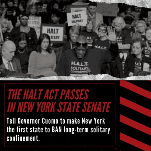 HALT Passes | unlocktheboxcampaign.org